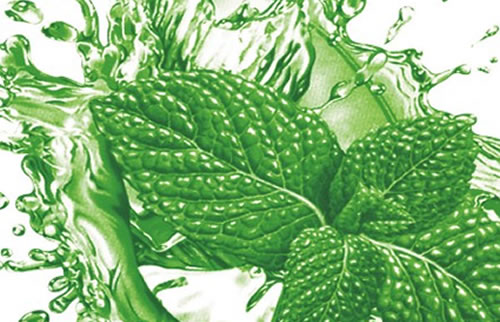 8 Reasons to Use Menthol for Everyday Health | Real Time Pain Relief